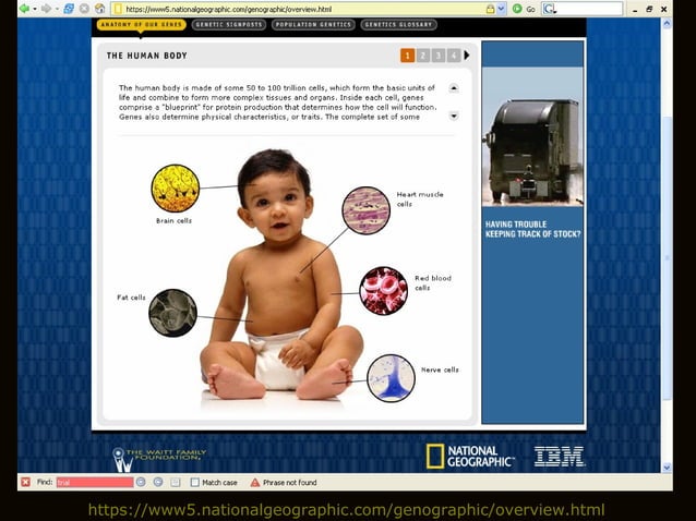 The Genographic Project | PPT