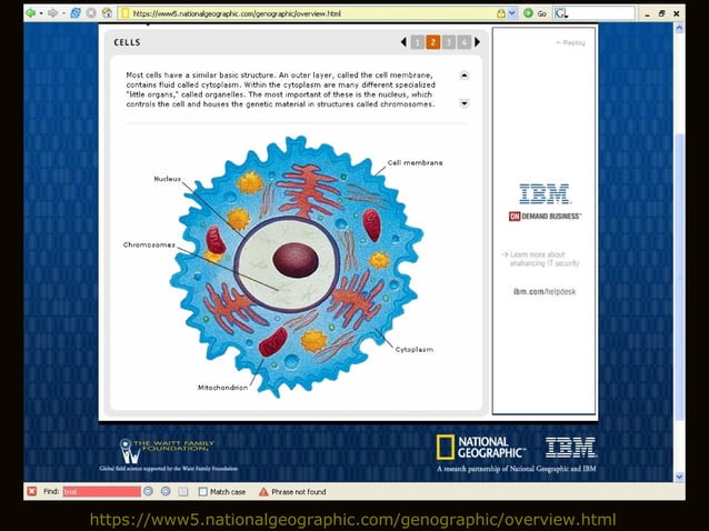 The Genographic Project | PPT