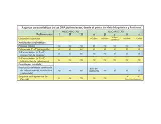 Genoma-eucariota biologia molecular del gen | PPT