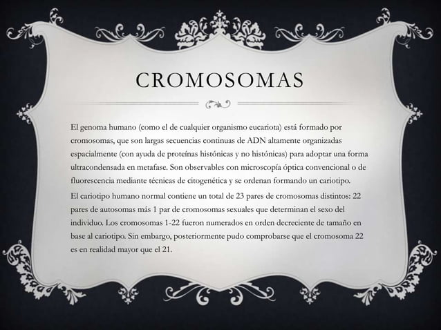 Genoma humano | PPT