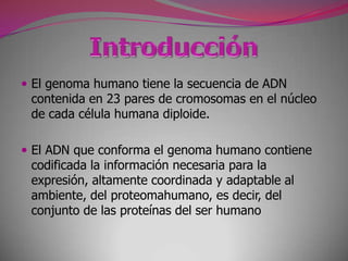 Genoma humano | PPTX