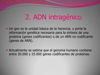 Genoma humano | PPTX
