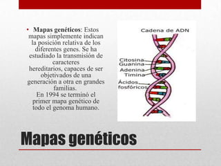 Genoma humano | PPSX