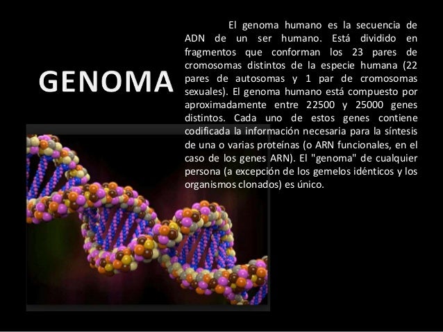 Genoma Humano