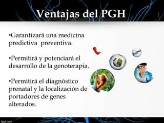Genoma humano | PPTX