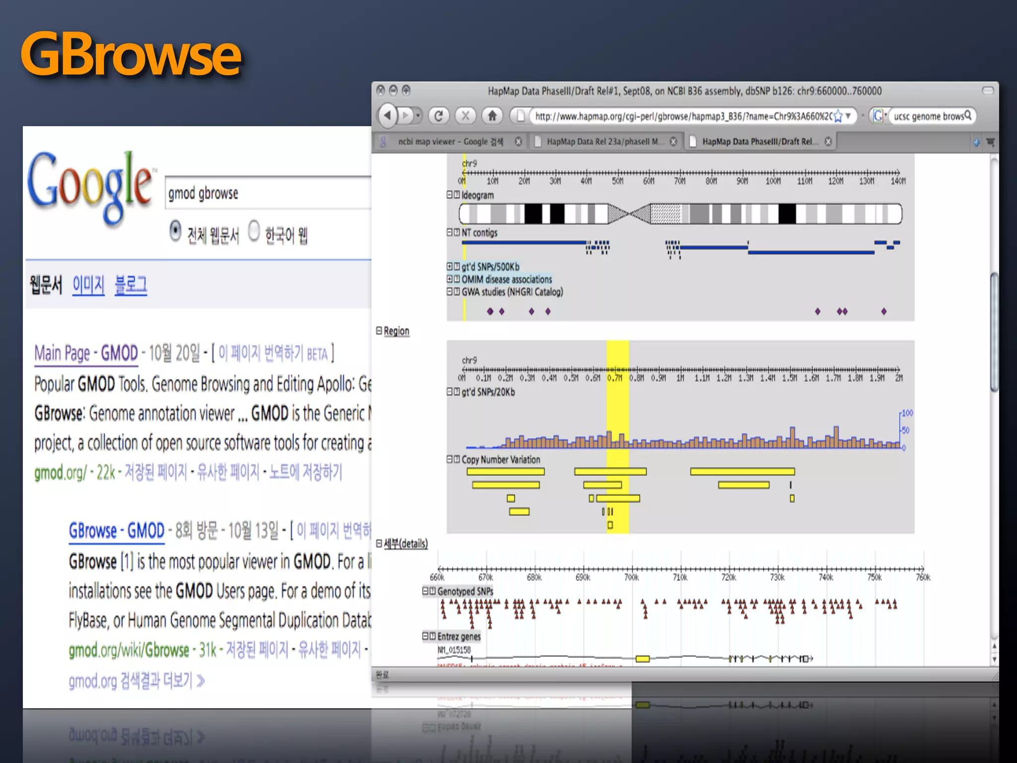 Genome Browser | PDF | Genetics | Science