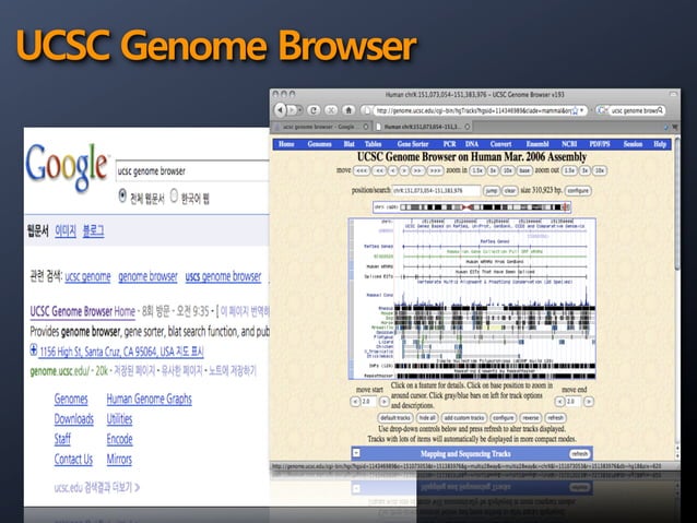 Genome Browser | PDF | Genetics | Science
