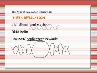 Describe - Bacterial Genome | PPT