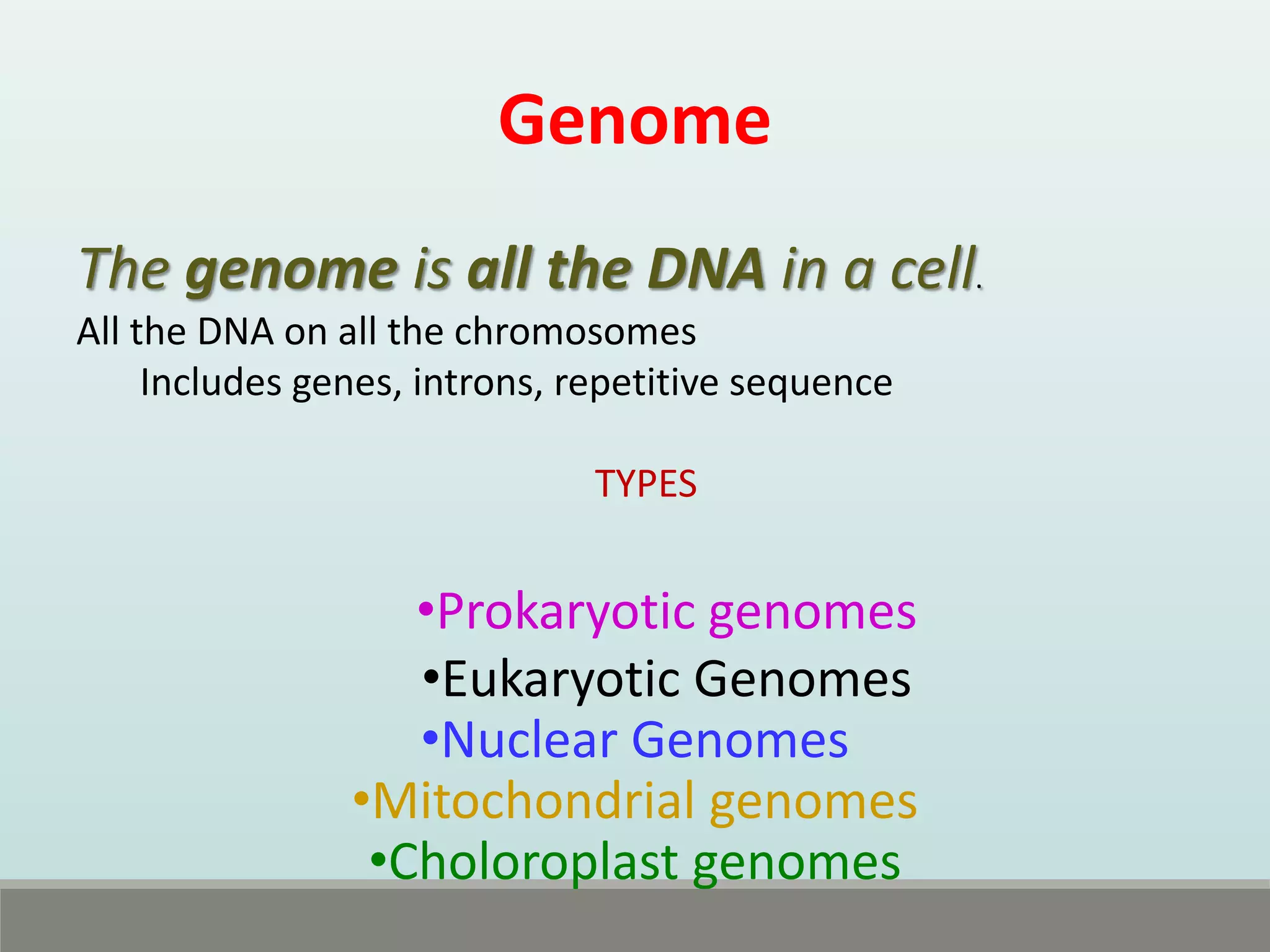 Genome | PPTX