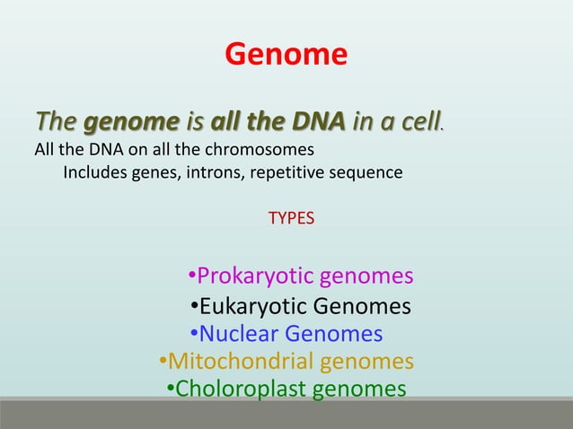 Genome | PPTX
