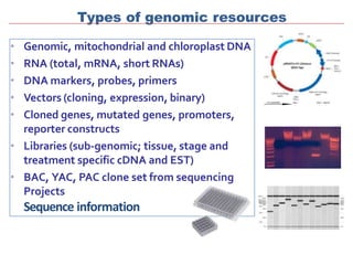 Genome resource databases in horticutural crops | PPT