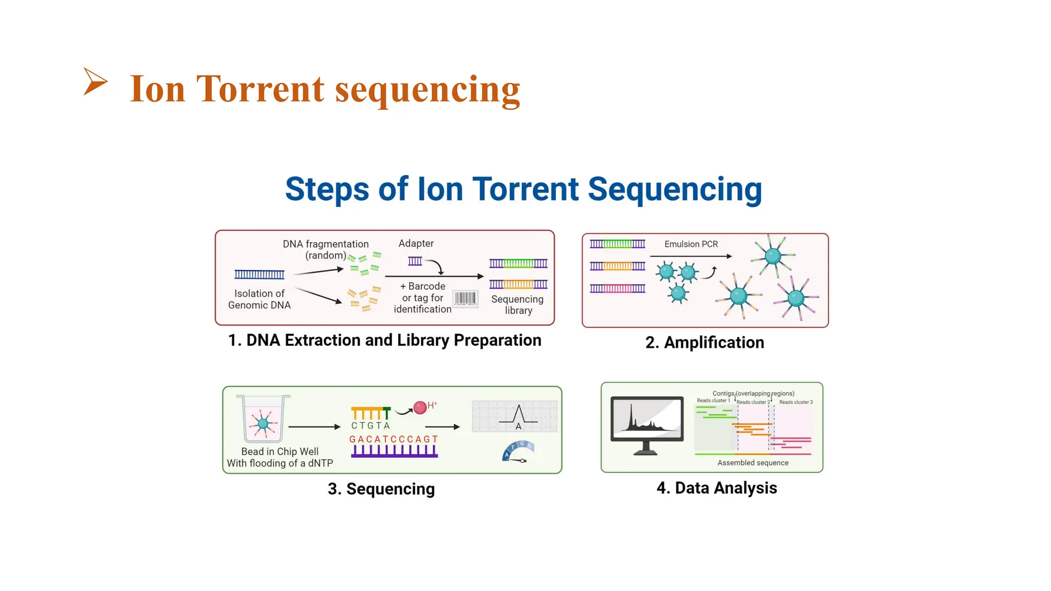 Topic Name : Gene Mapping And Gene Sequencing | PPTX