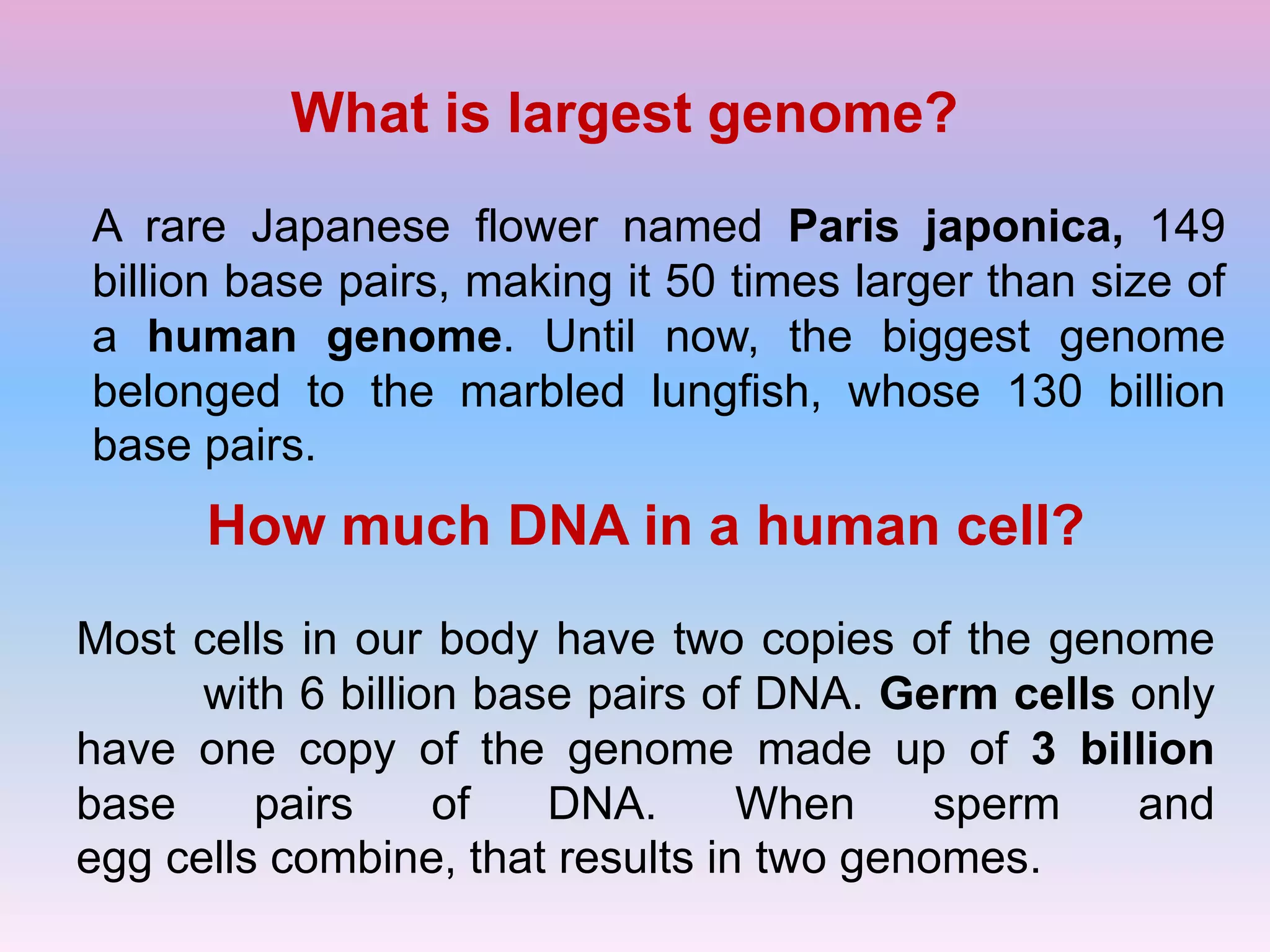 Genome concept, types, and function | PPTX