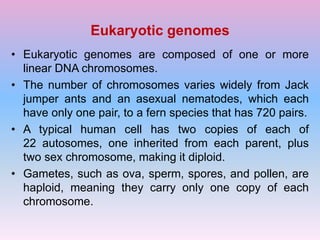 Genome concept, types, and function | PPTX