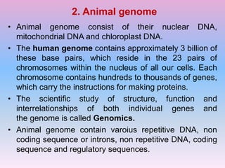 Genome concept, types, and function | PPTX