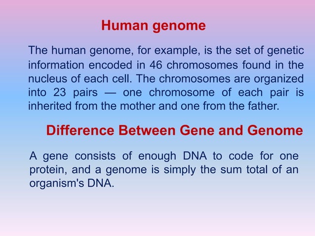Genome concept, types, and function | PPTX | Biological Sciences | Science