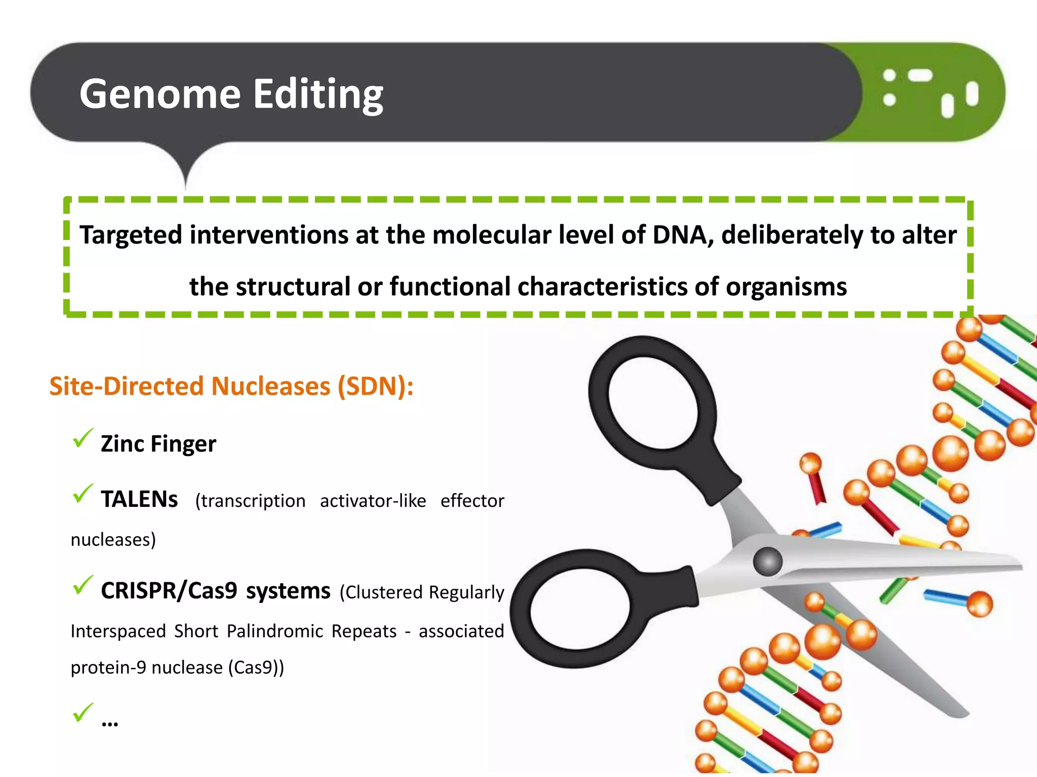 Genome-editing-in-plants_FilipaLara.pptx