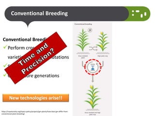 Genome-editing-in-plants_FilipaLara.pptx
