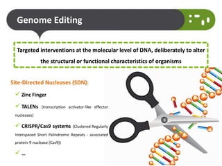 Genome-editing-in-plants_FilipaLara.pptx