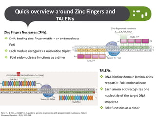 Genome-editing-in-plants_FilipaLara.pptx