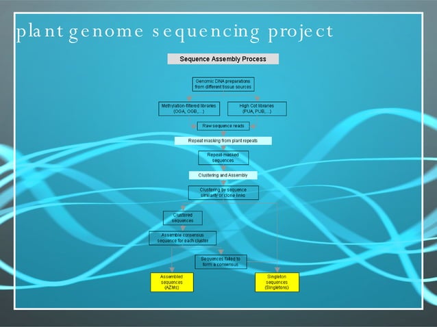 Genome Sequencing Project | PPT