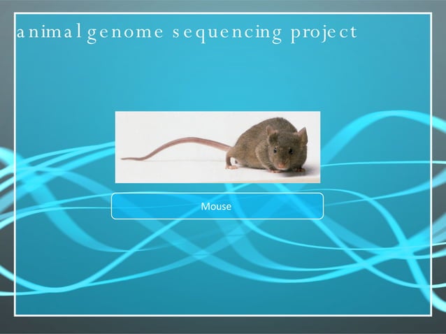 Genome Sequencing Project | PPT