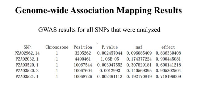 Genome wide association mapping | PDF | Genetics | Science