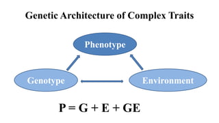 Genome wide association mapping | PDF