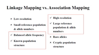 Genome wide association mapping | PDF