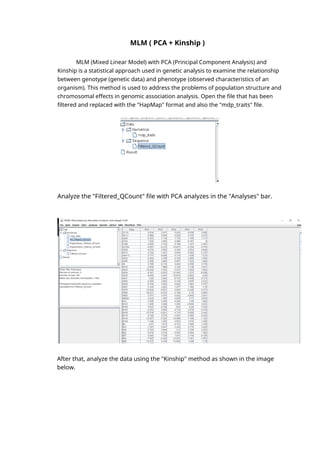 Genome-wide Association Study (GWAS) Analysis Guide in TASSEL Software ...