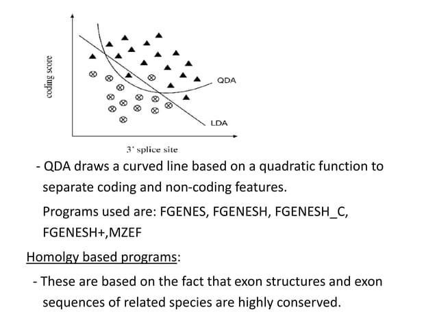 Genome annotation | PPTX | Genetics | Science