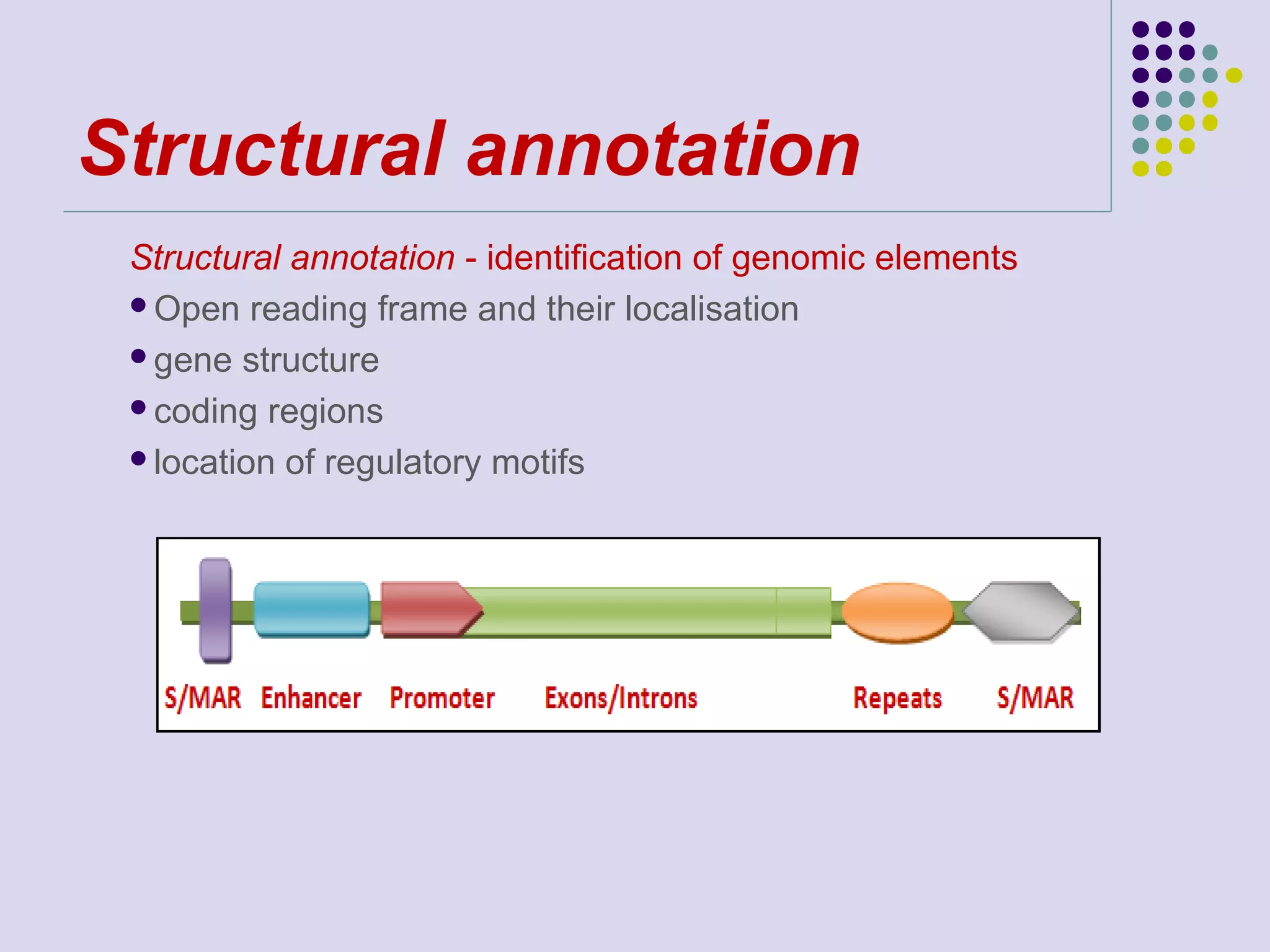 Genome Annotation 2013 Ppt Genetics Science