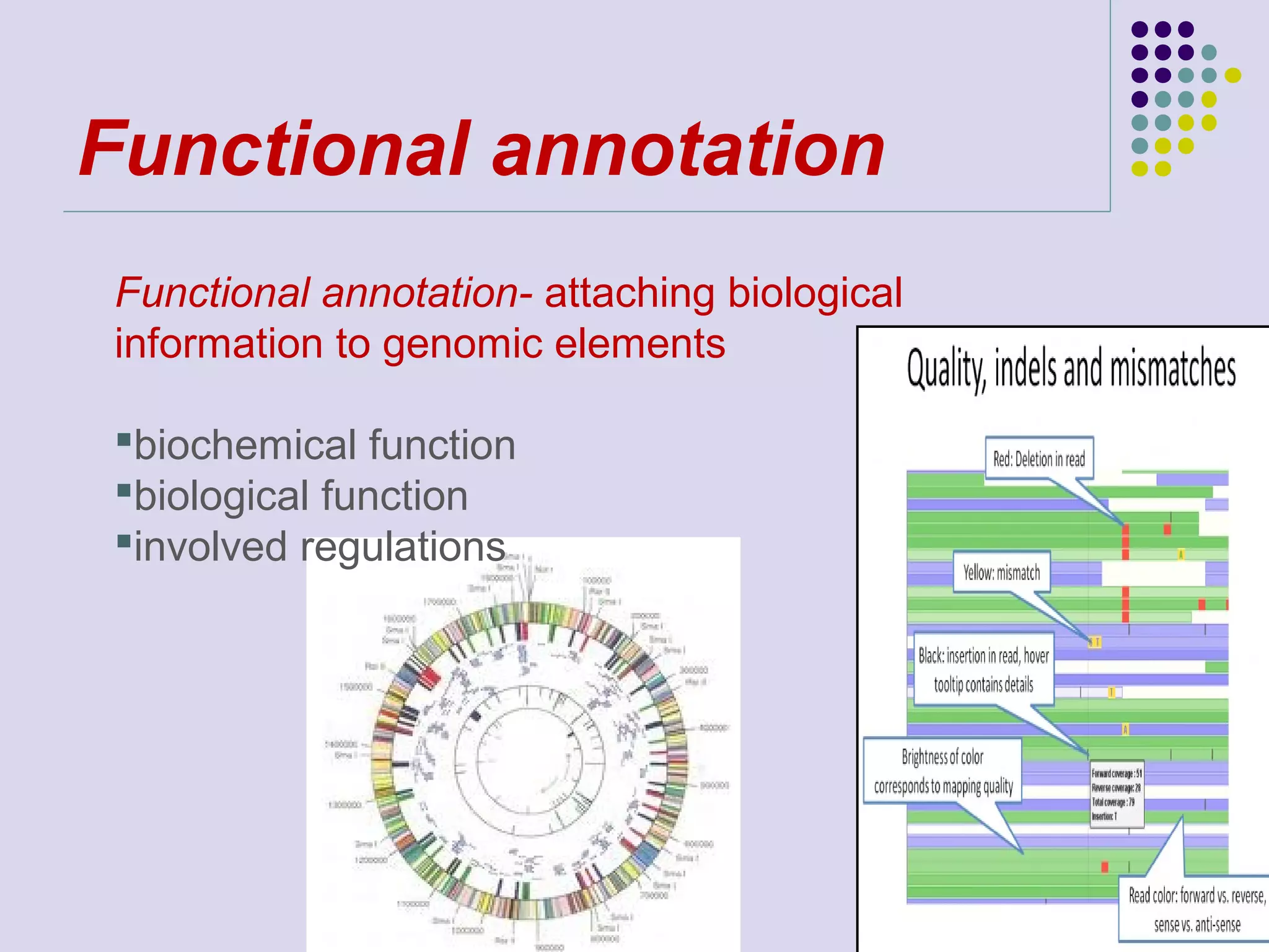 Genome annotation 2013 | PPT