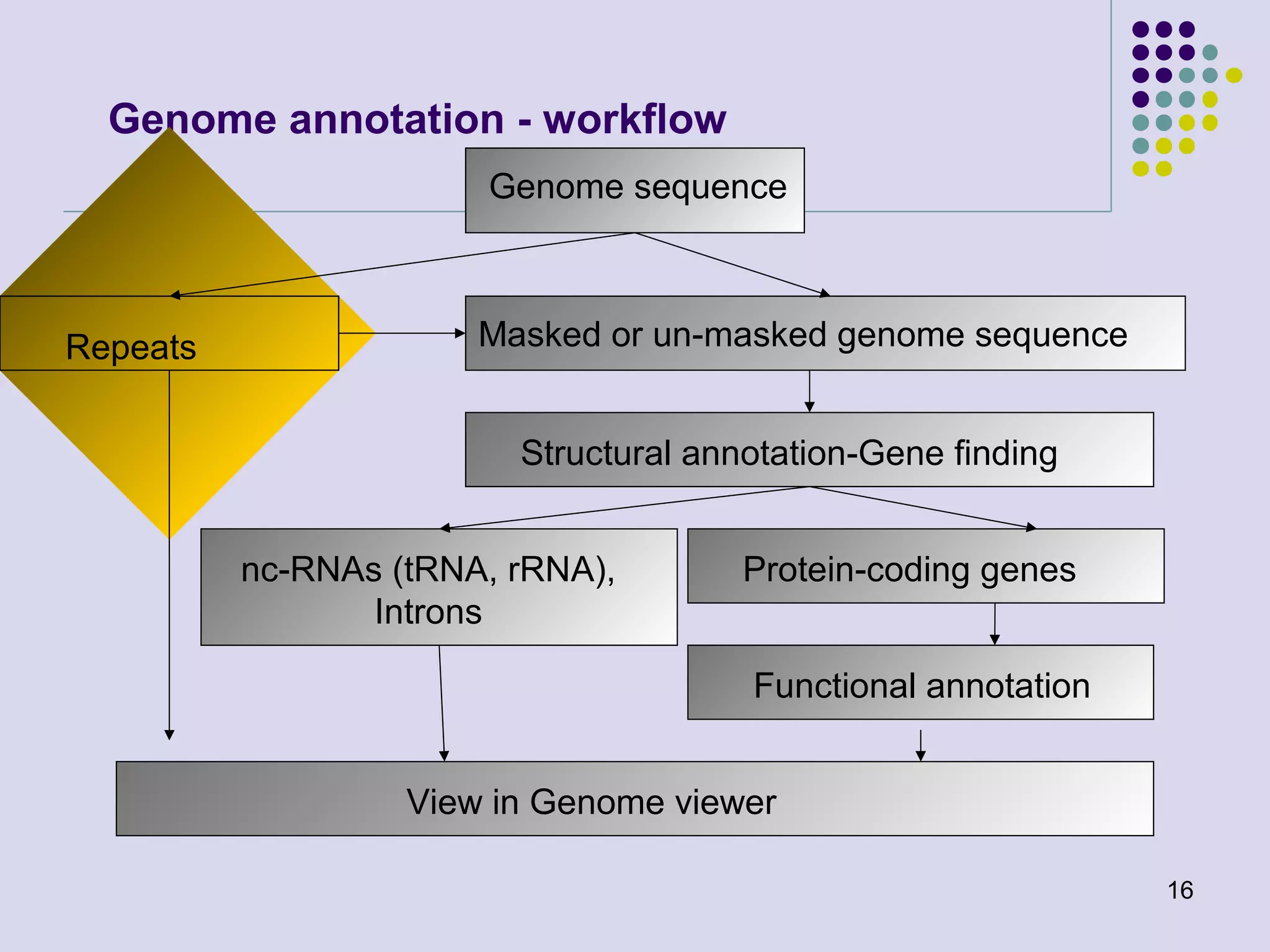 Genome annotation 2013 | PPT