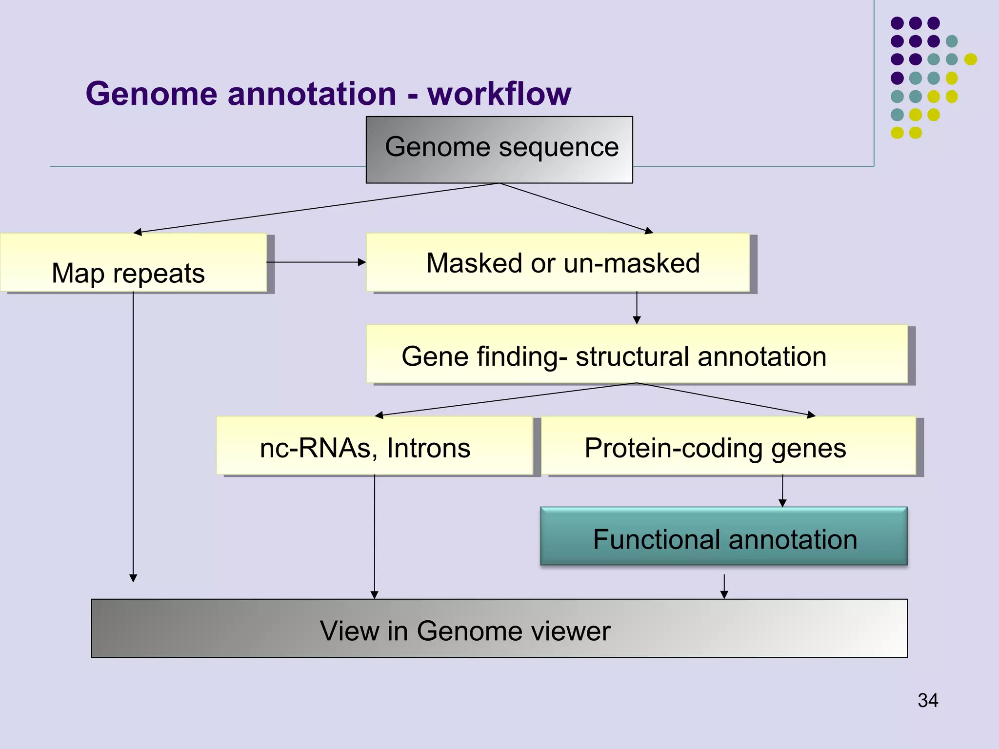 Genome annotation 2013 | PPT