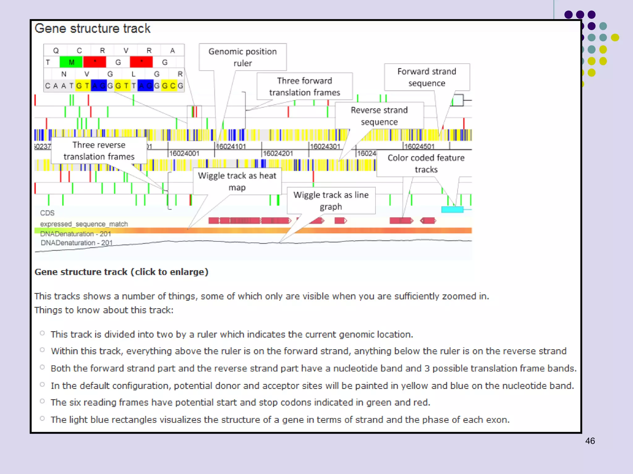 Genome annotation 2013 | PPT
