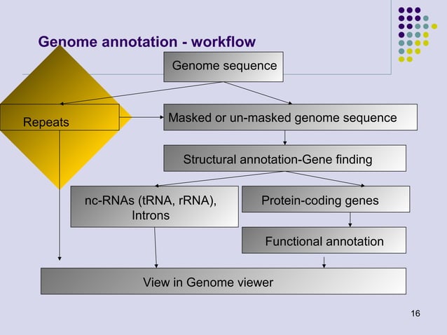 Genome annotation 2013 | PPT | Genetics | Science