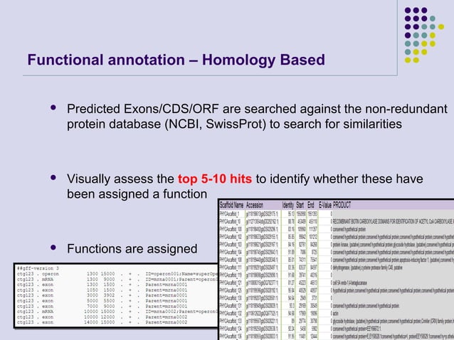 Genome annotation 2013 | PPT | Genetics | Science