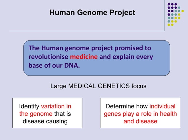 Genome annotation 2013 | PPT | Genetics | Science
