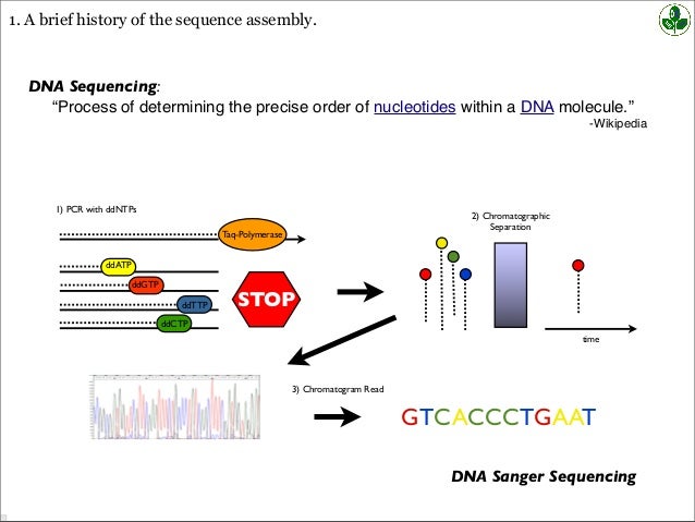 Genome Assembly