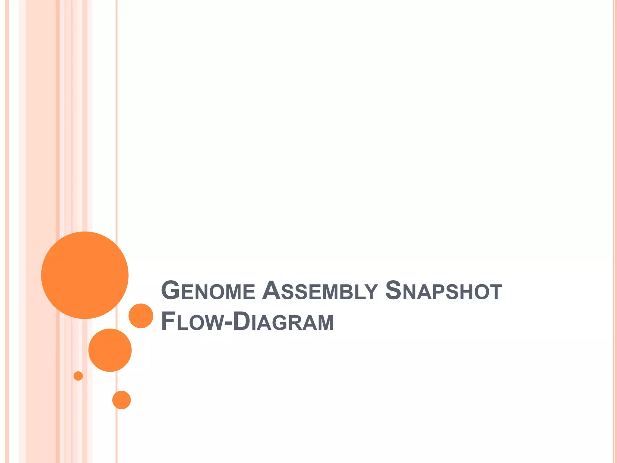 Genome assembly snapshot flow diagram | PPTX