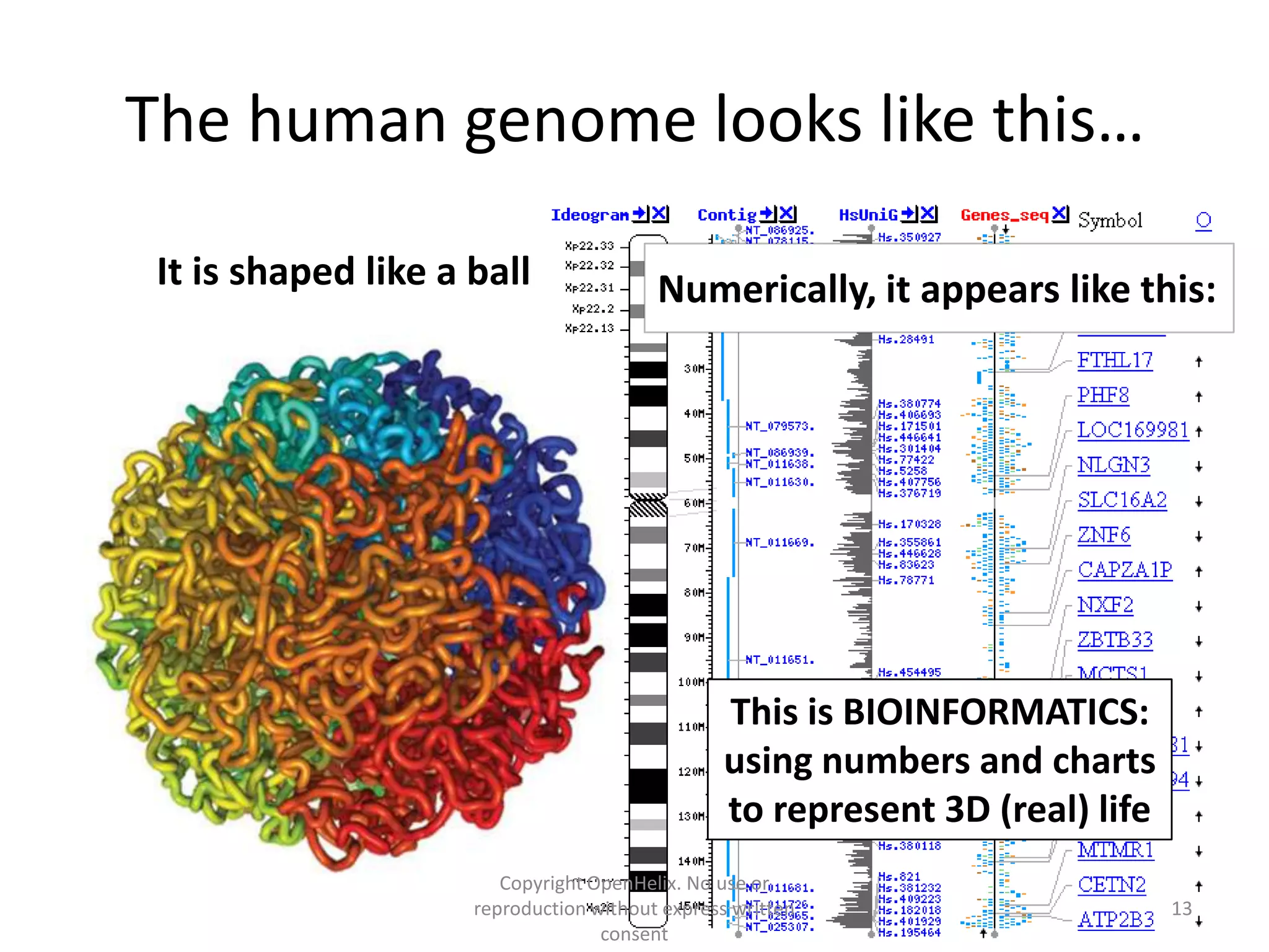 Genomics and OpenHelix - Basic Intro 12apr09 | PPT