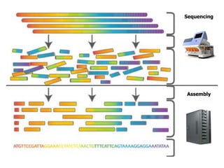 Genome Big Data | PDF