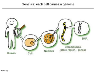 Genome. .......... Edit.ppt