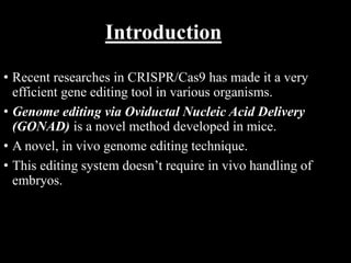 Genome Edited Rats | PPTX