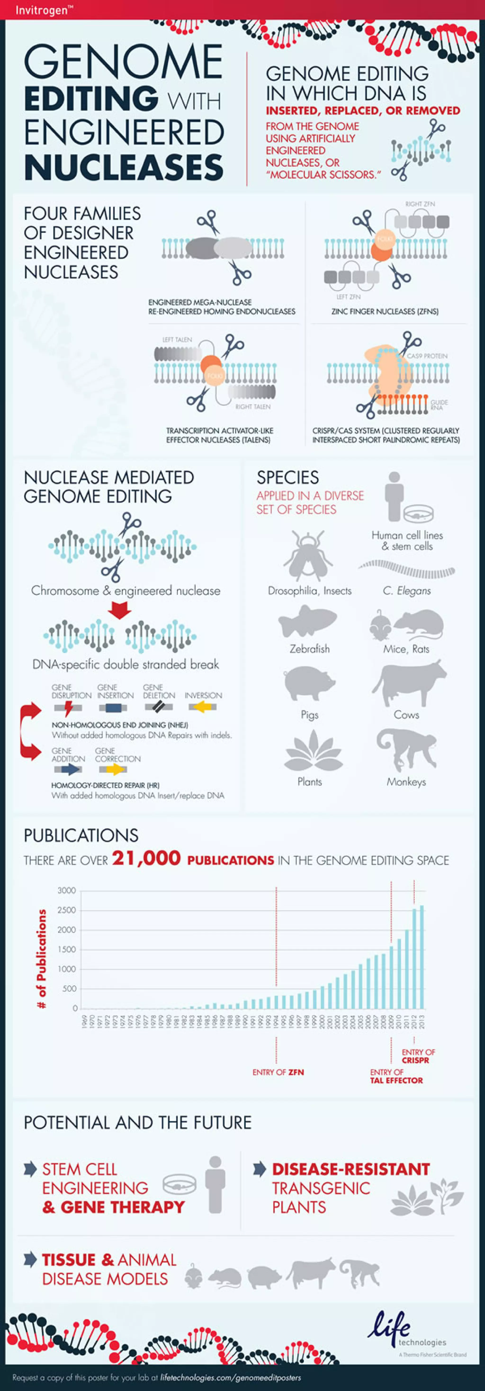 Genetic Editing | PDF