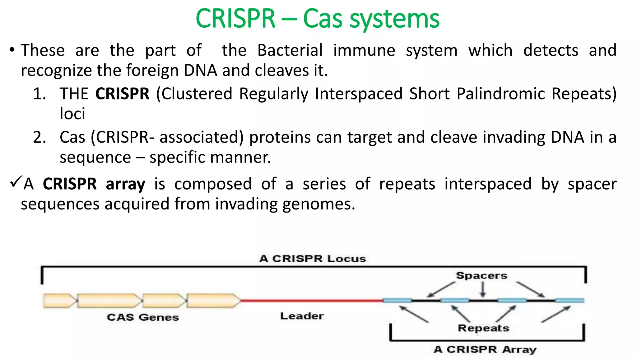 Genome editing | PPTX