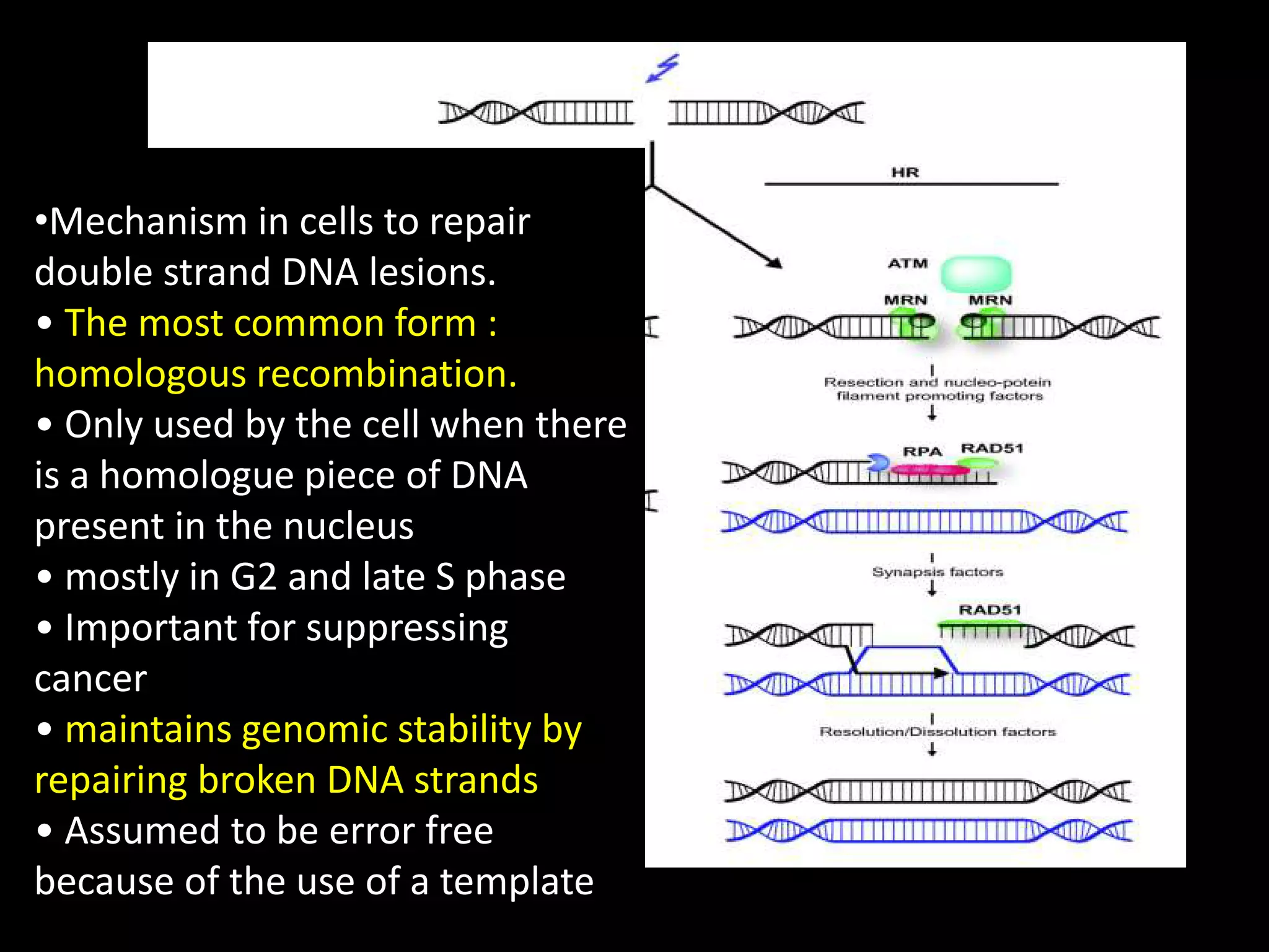 Genome editing | PDF