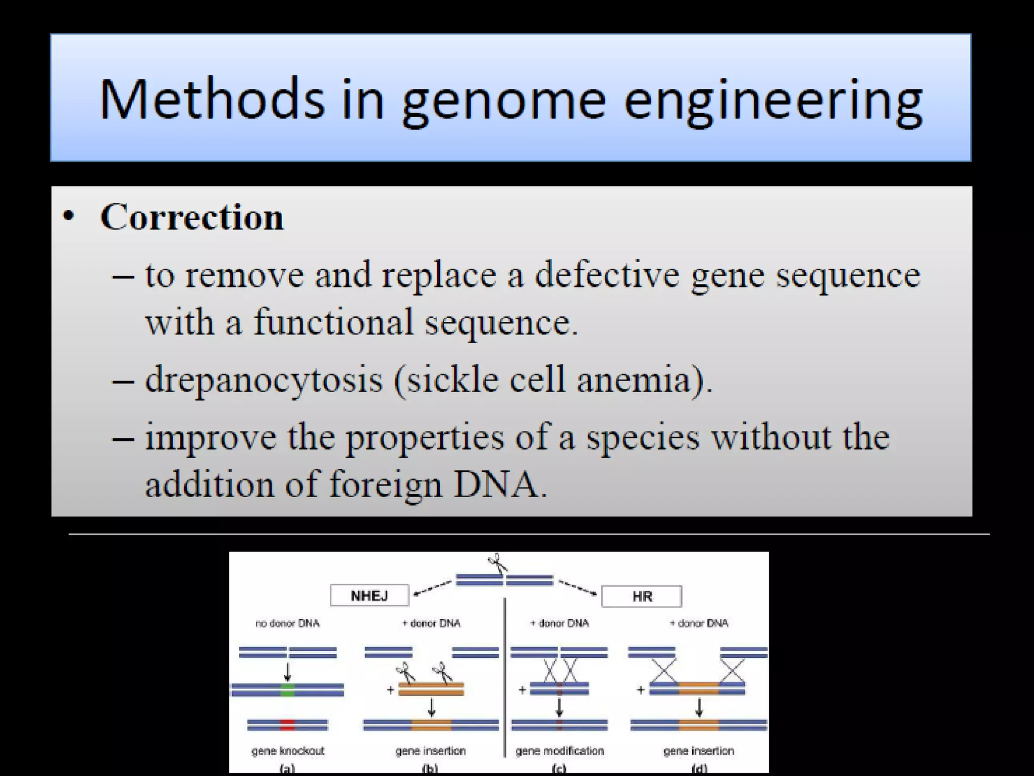 Genome editing | PDF