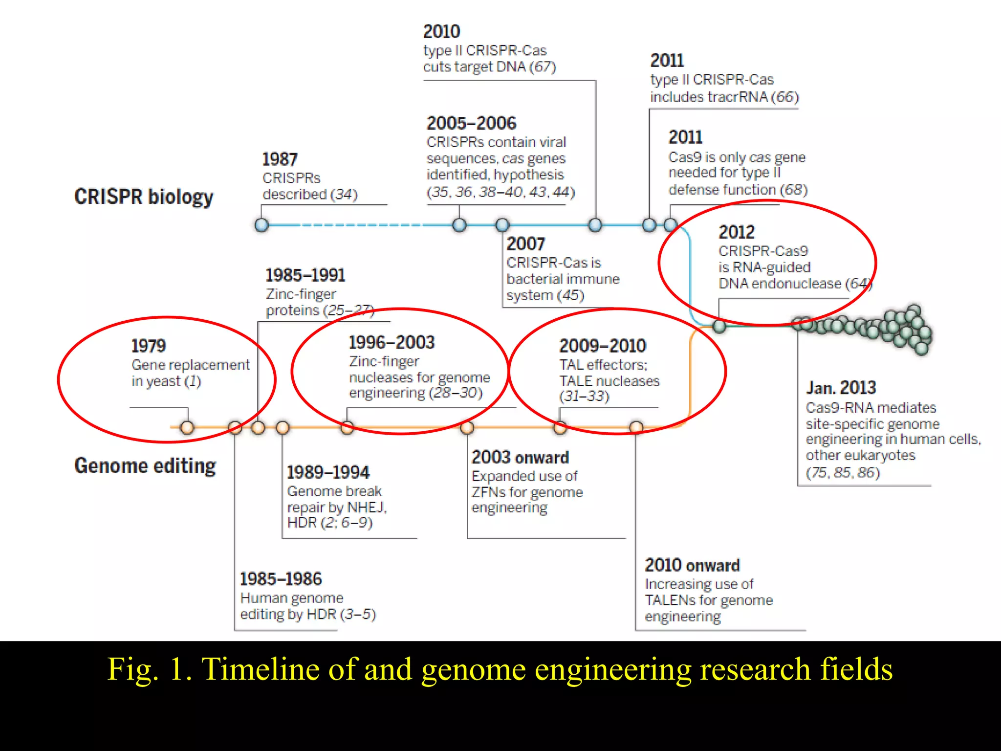 Genome editing | PDF